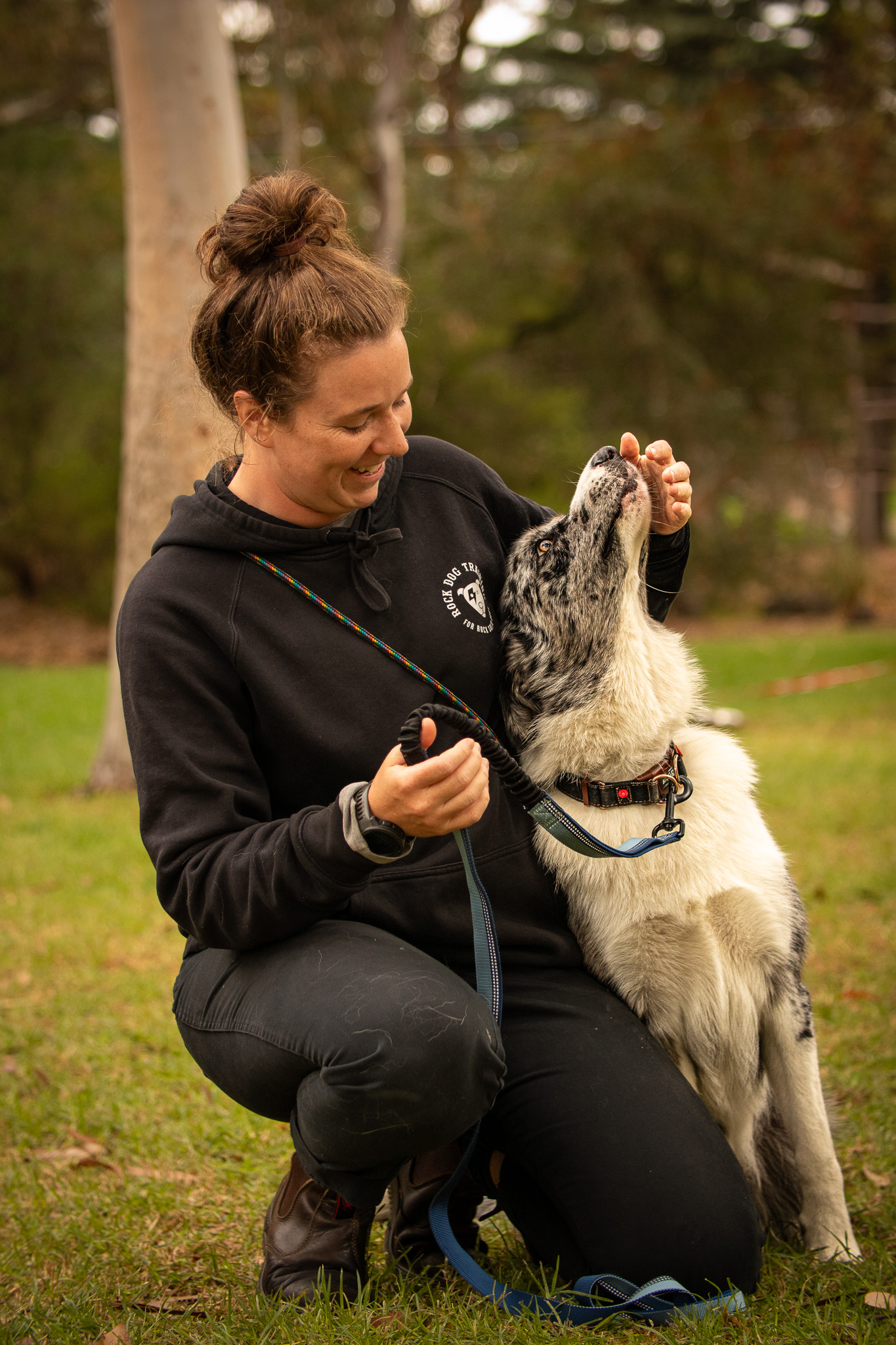 Dog Obedience Masterclass in Melbourne | Obedience Classes for Dogs